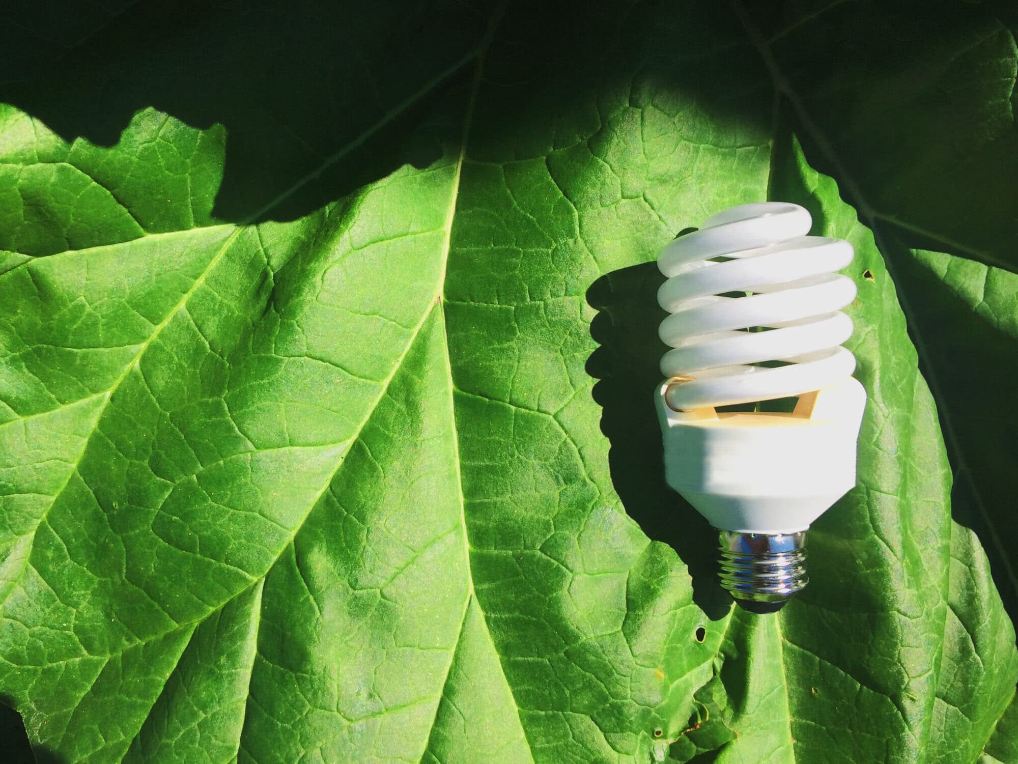 Otter Energy: Ontario’s best solar company