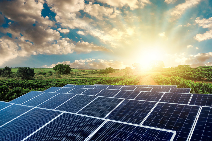 Otter Energy: Ontario’s best solar company